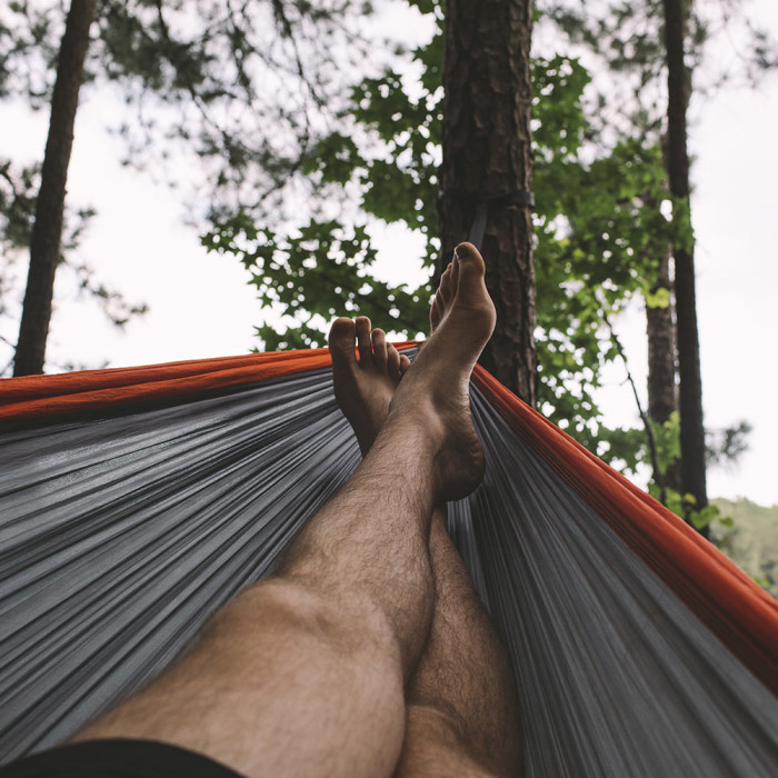 Borderland – A Daring Multi – Concept Theme